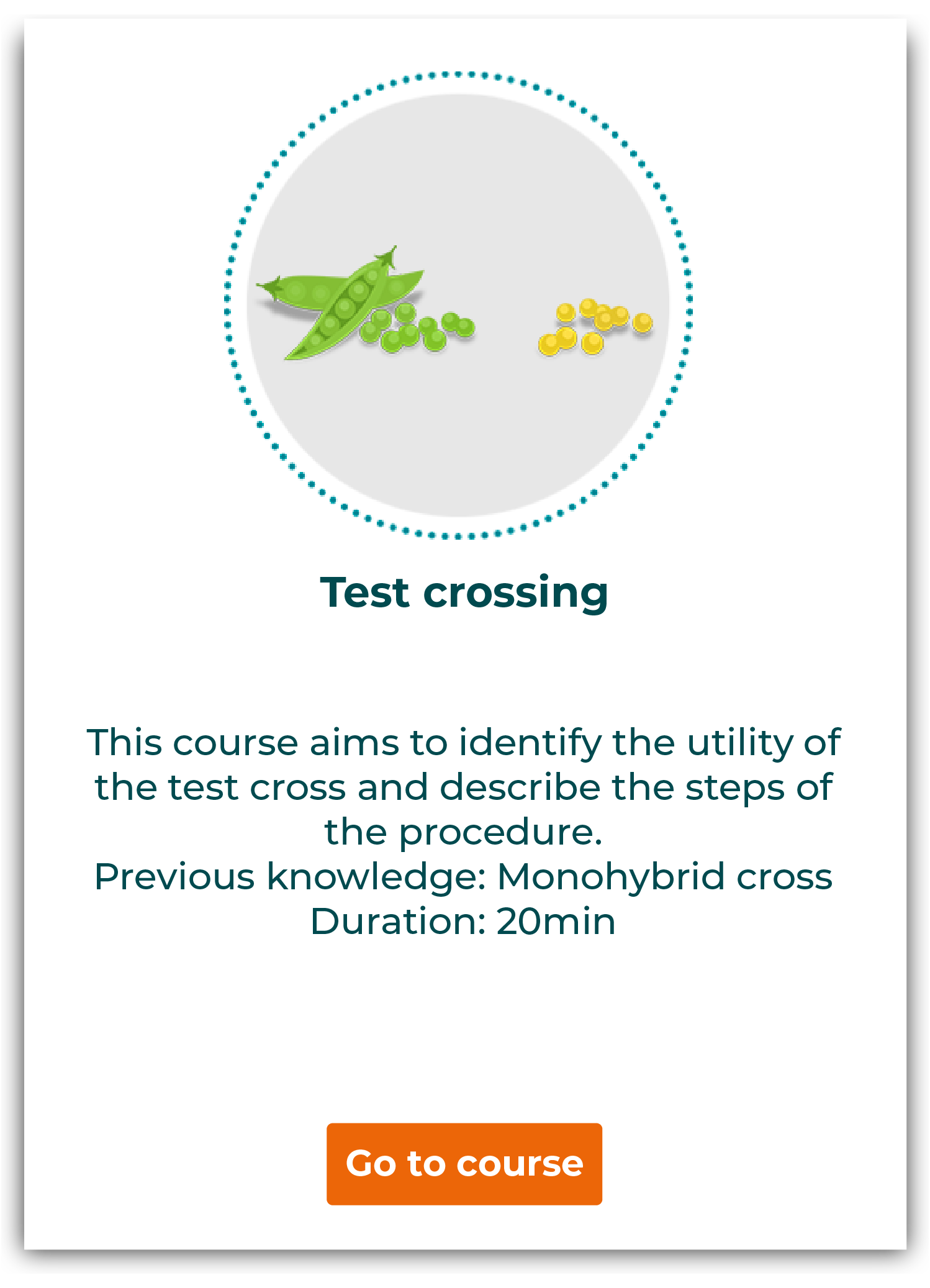 e-LearningbyDoing: Program | e-LearningbyDoing